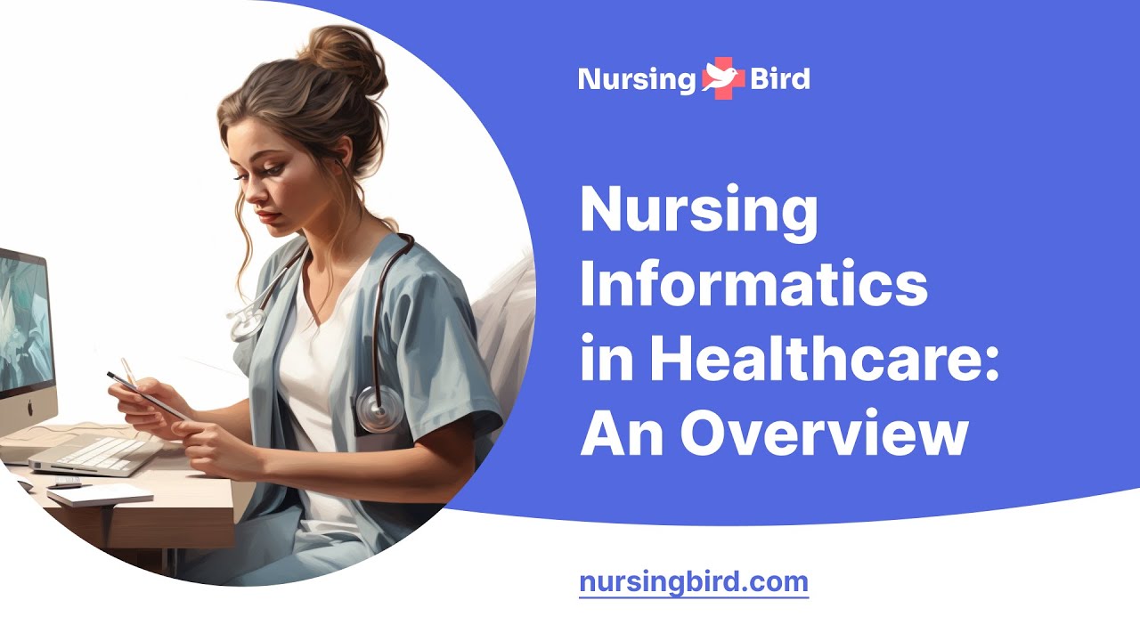 Nursing Informatics in Healthcare: An Overview - Essay Example