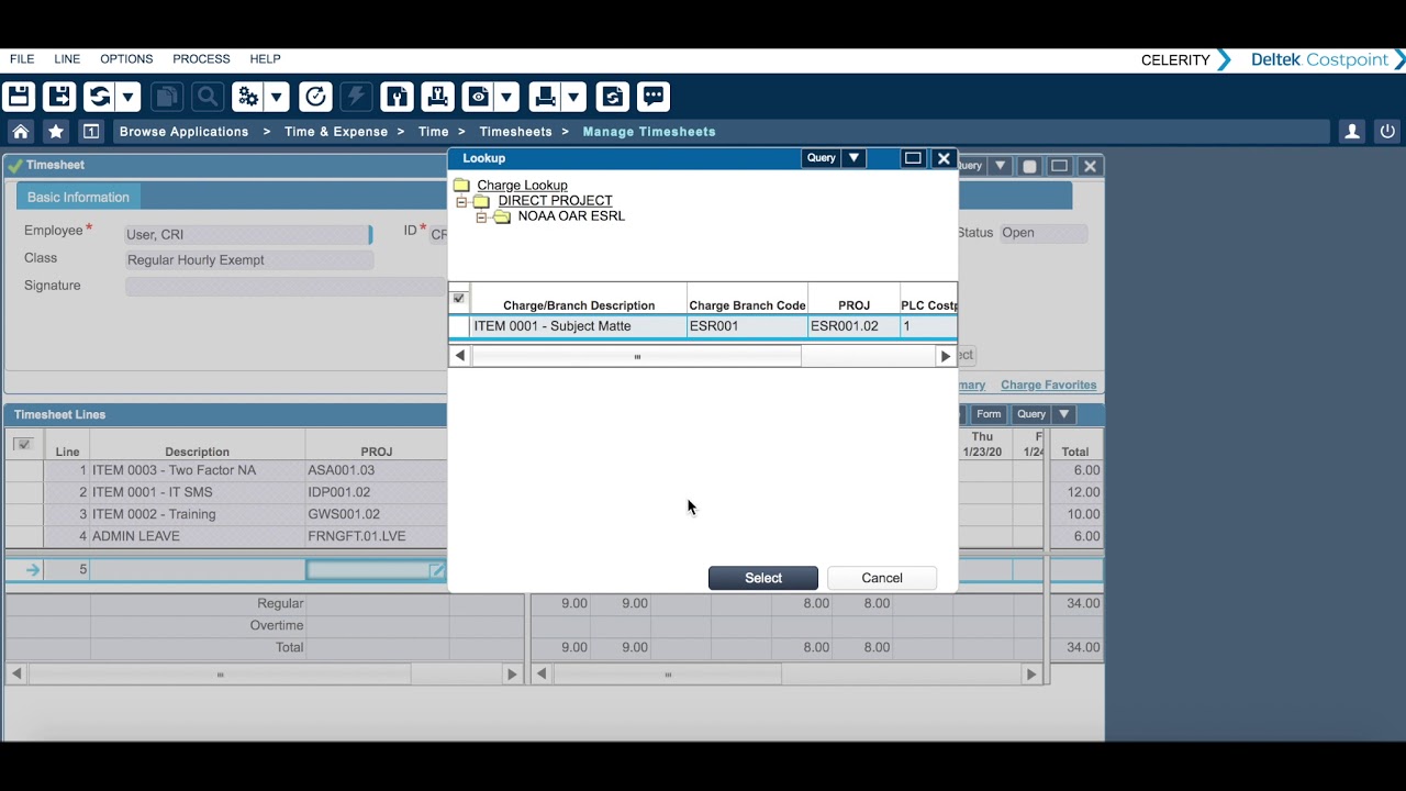 Deltek Time and Expense 10: Timesheets