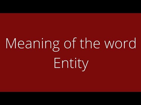 Meaning of the word Entity