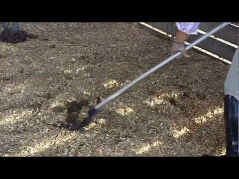 How To Clean A Horse Stall - AllHorseTalk.com