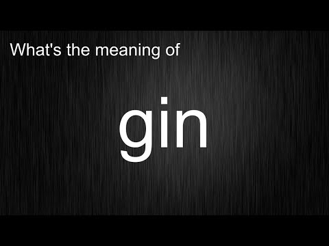 What's the meaning of "gin", How to pronounce gin?