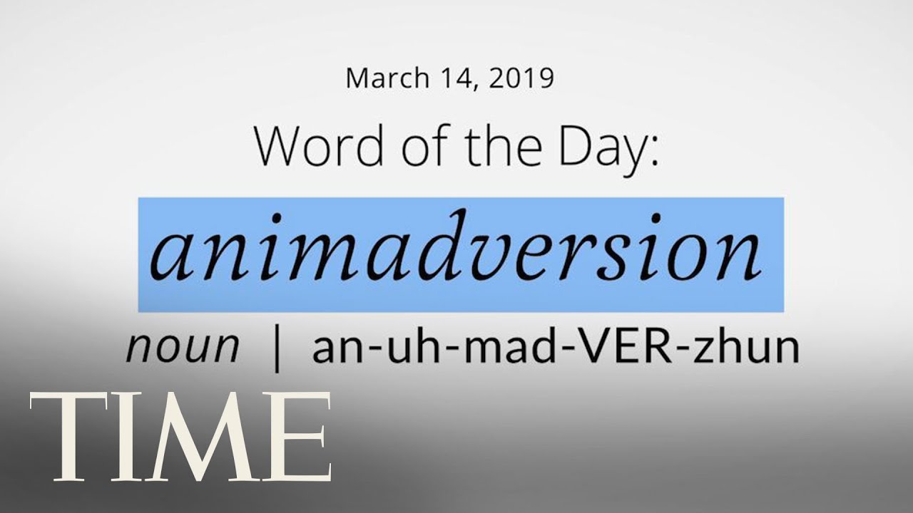 Word Of The Day: ANIMADVERSION | Merriam-Webster Word Of The Day | TIME