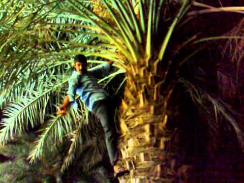 Chungathara Edamala Nilambur, Kerala | Veethi