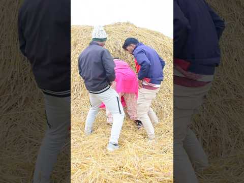 Full Video: Angaaron (The Couple Song) Allu Arjun,Rashmika | Pushpa 2 The Rule |DSP, Shreya Ghoshal