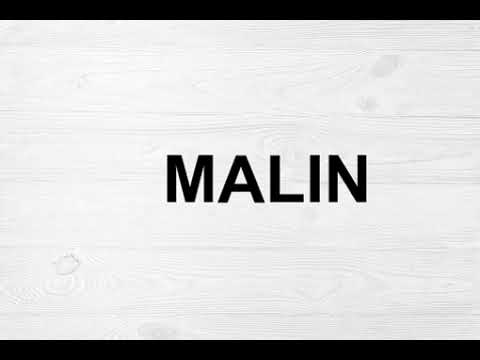How To Pronounce Malin