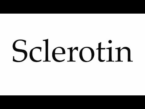 How to Pronounce Sclerotin
