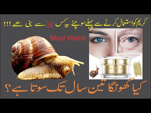 amazing fact of snail in urdu hindi