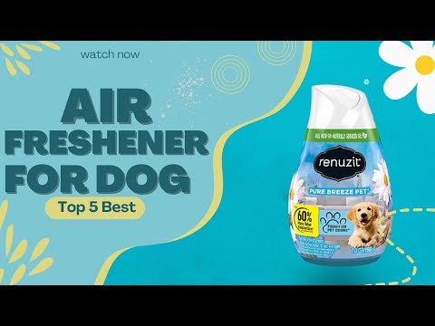 Best Air Freshener for Dog in 2023 | Top 5 Review