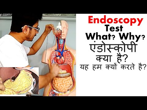 Endoscopy test in Hindi