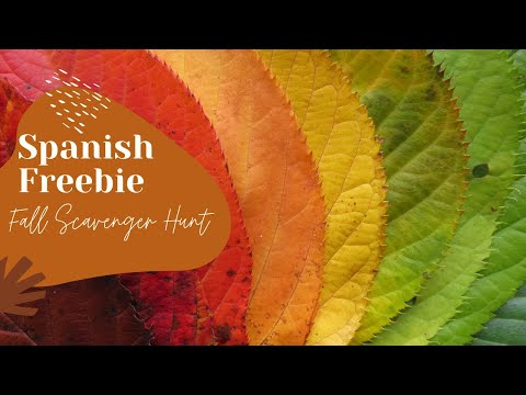 Free Spanish Activity - Fun Fall Scavenger Hunt