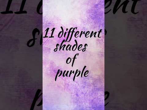 Different shades of purple. #shorts #shortvideo