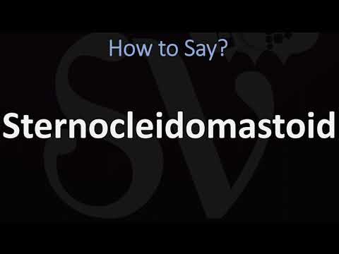 How to Pronounce Sternocleidomastoid? (CORRECTLY)