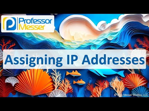 Assigning IP Addresses - CompTIA A+ 220-1201 - 2.6