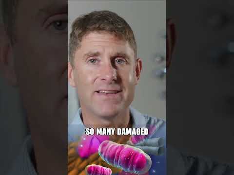 What Happens Going 30 Days Without Sugar