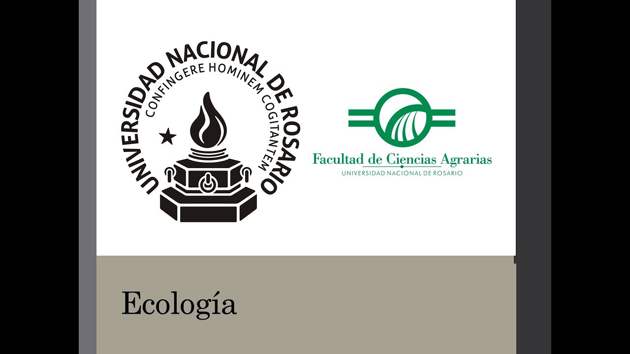 Ecorregión La Puna
