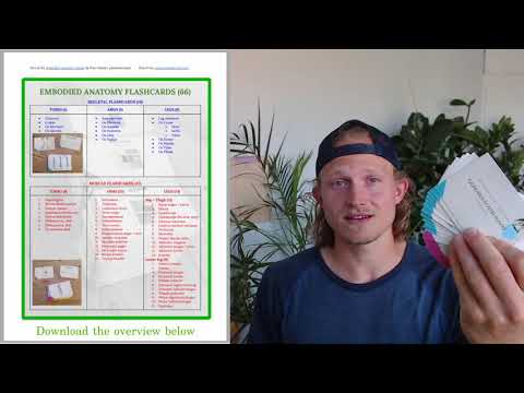 Anatomy Flashcards