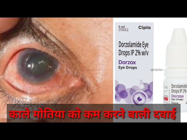 Eye Drops - Brimodin Brimonidine Tartrate Eye Drops Trader - Wholesaler ...