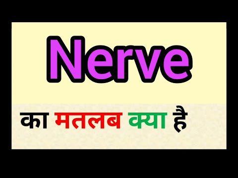 Nerve meaning in hindi || nerve ka matlab kya hota hai || word meaning english to hindi