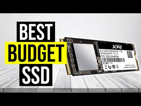 Best Budget SSD 2024 ⬆️ TOP 5 ✅