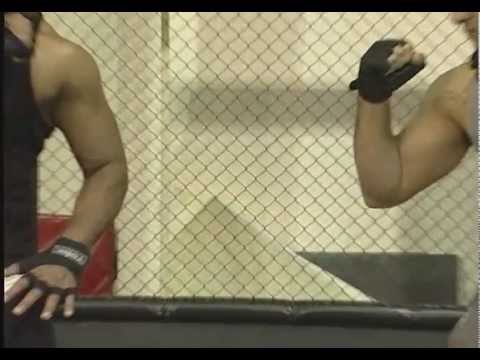 The Warrior 2011