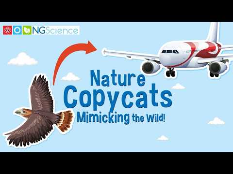 Nature Copycats β Mimicking the Wild!