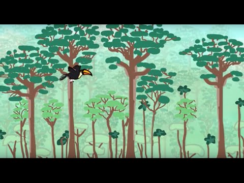 What is Deforestation? – The Lorax