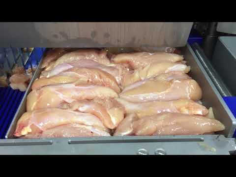 Grasselli NSL400 Chicken Tenders/Pollo @ 20mm