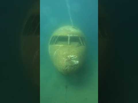 The Story of a Crashed Plane: Exploring Mysteries of Underwater Norman's Cay #ytshorts #shortsfeed
