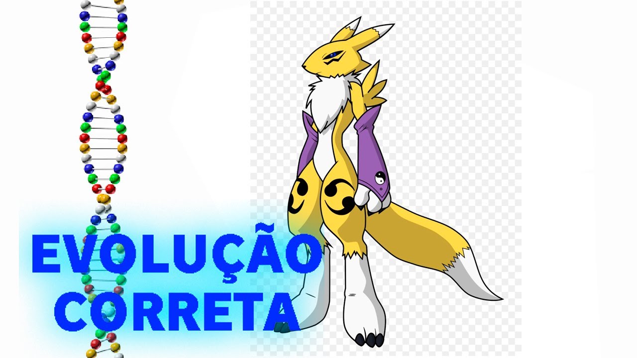 Renamon - Evolução Correta