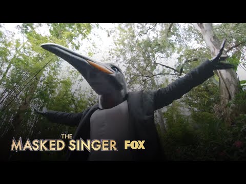 Who Is The Penguin on 'The Masked Singer' — Clues and Guesses