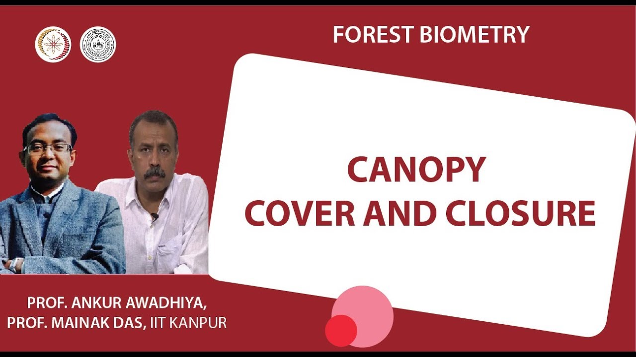 Canopy cover and closure