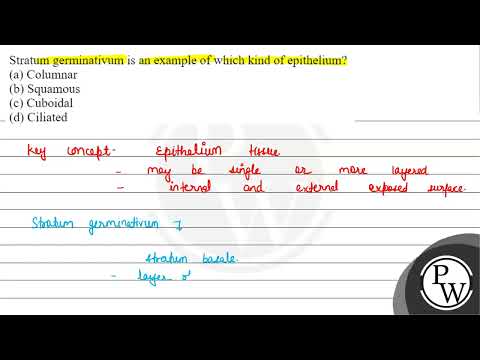 Stratum germinativum is an example of which kind of epithelium?