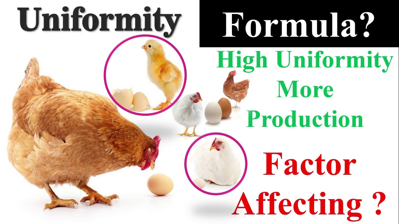 Factor affecting uniformity