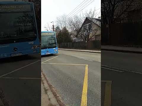 98-as érkezése a diadal utcához #bkk #bkv #budapest #bus #busz #hungary #mindenki