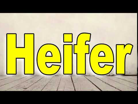 How to Pronounce Heifer