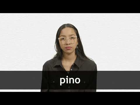 English Translation of “PINO” | Collins Spanish-English Dictionary