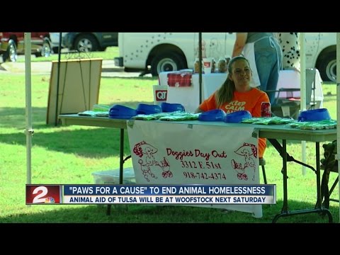 Paws For A Cause