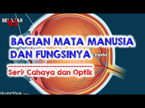 Bagian-bagian Mata Manusia dan Fungsinya