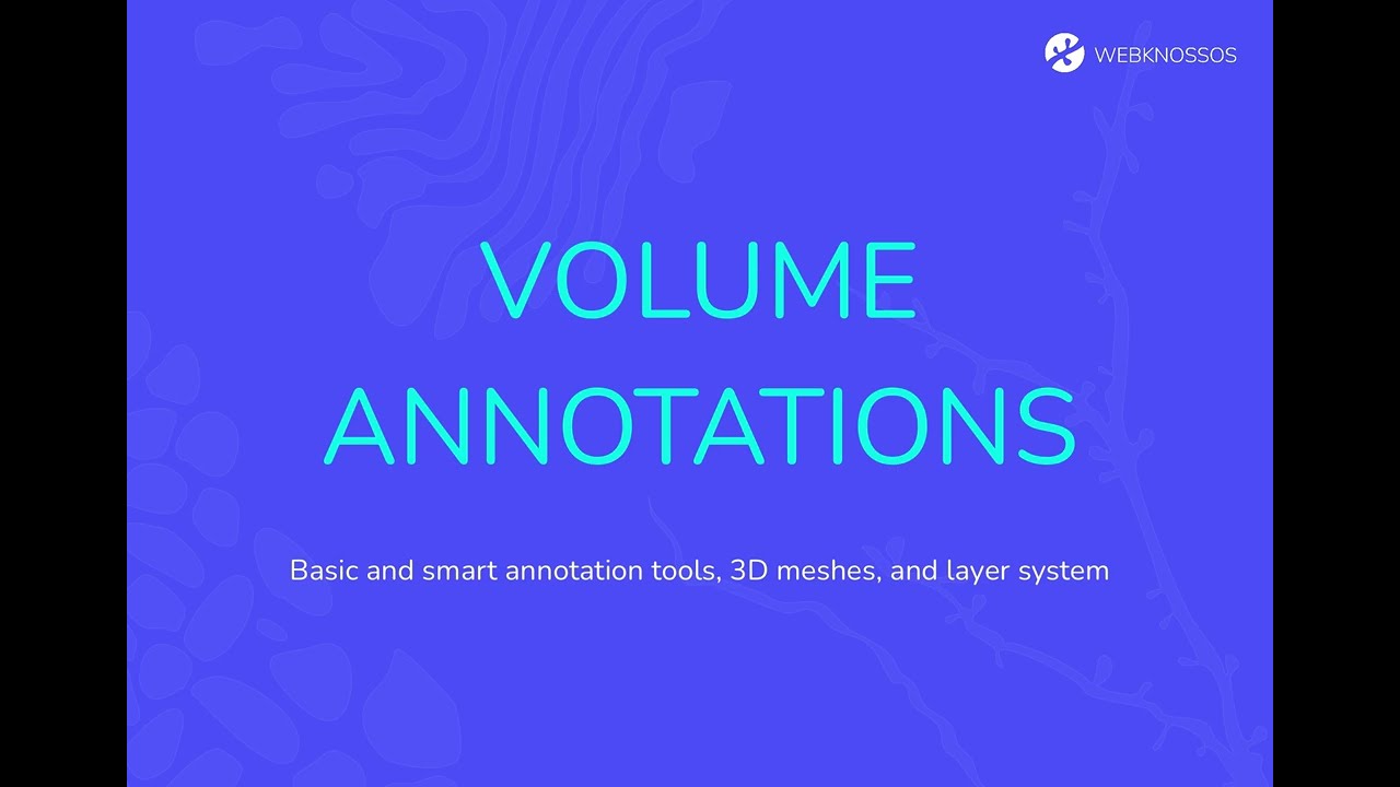 Tutorial Volume Annotations