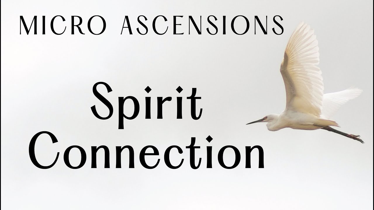 Spirit Connection - Micro Ascensions #1 Affirmations and Inspiration