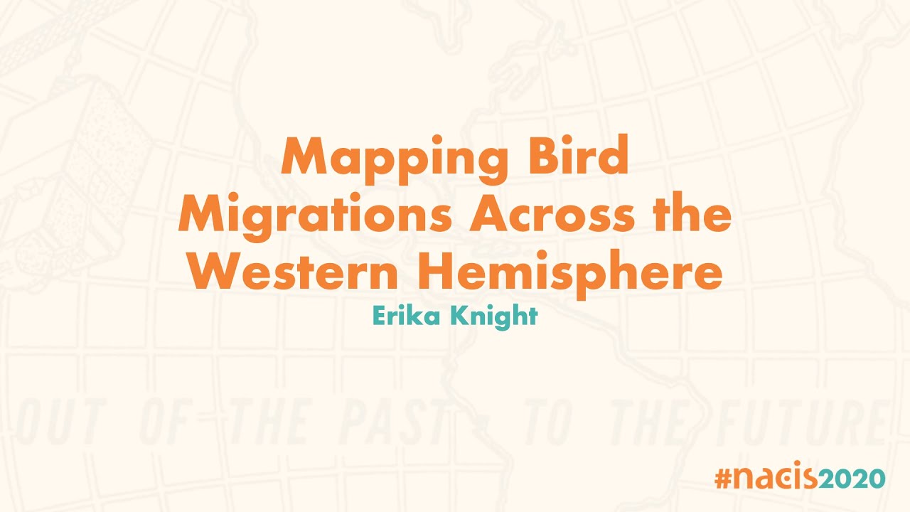 Mapping Bird Migrations Across the Western Hemisphere