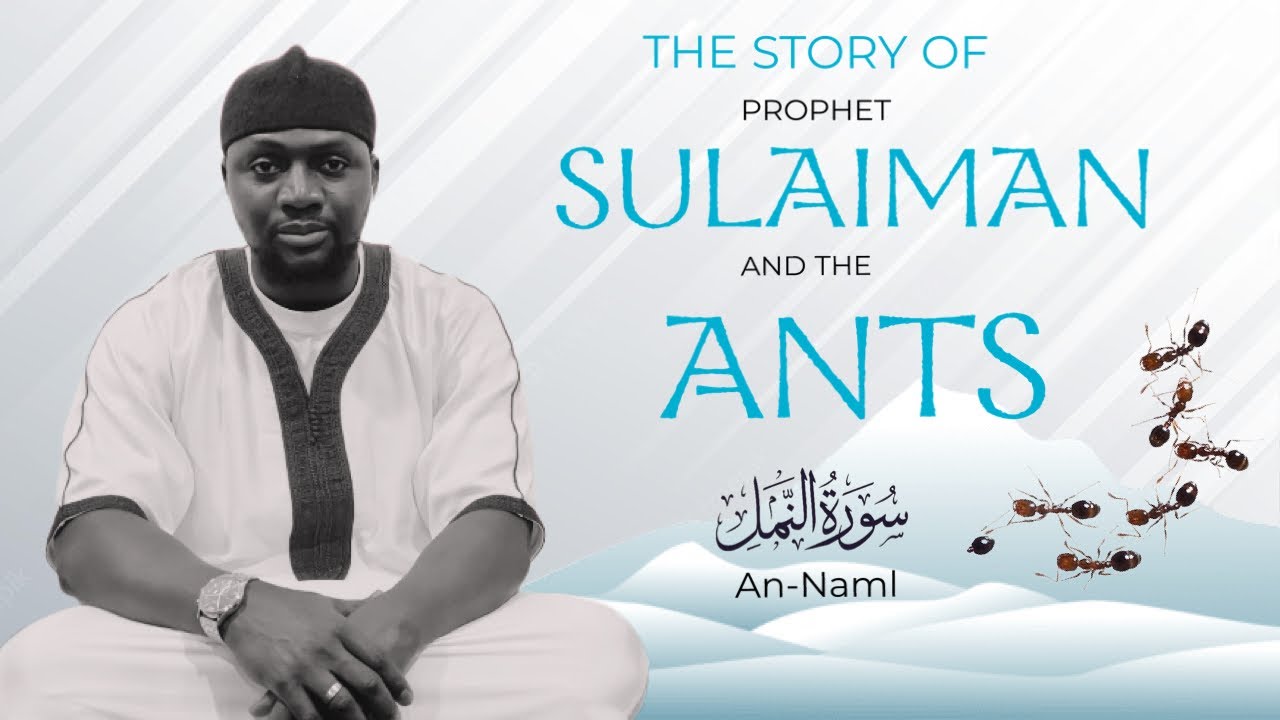 The story of prophet Sulaiman and the ants Surah Naml