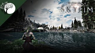 Three Wonderful Mods That Make Your Skyrim Beautiful at Skyrim Special ...