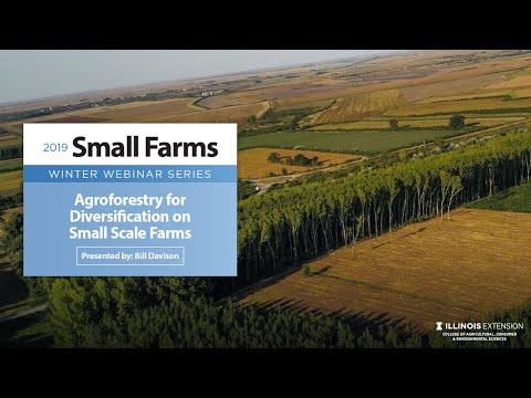 Agroforestry for Diversification on Small Scale Farms