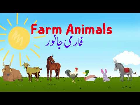 Farm Animals| فارمی جنور | Learn in Urdu & English| Best educational Videos|