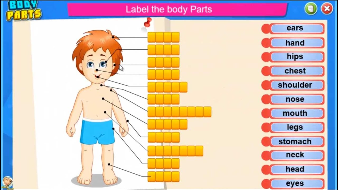 Body Parts Game