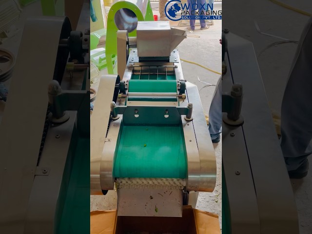Pickle Making Plant - Pickle Making Equipment Manufacturer from Ghaziabad