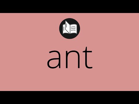 What ANT means • Meaning of ANT • What is the meaning of ANT • ant MEANING • ant DEFINITION