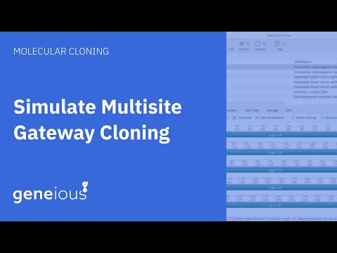 How to Simulate Multisite Gateway Cloning with Geneious Prime