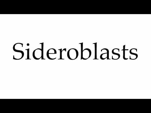 How to Pronounce Sideroblasts
